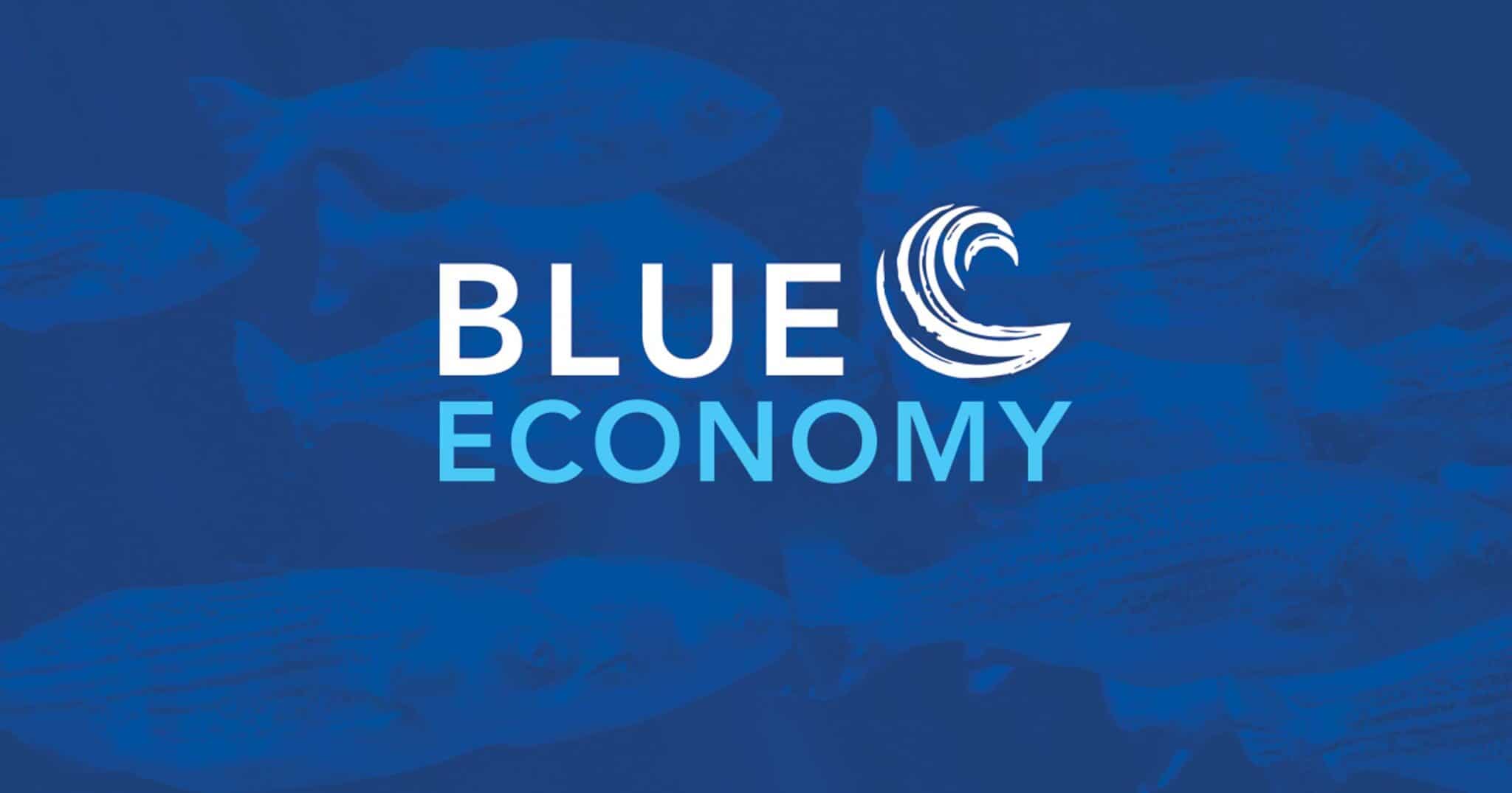 Blue Economy: Navigating a Sustainable Path to Enhance Bangladesh's ...