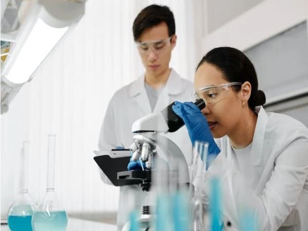 Scientists unveil comprehensive cell map of mammalian brain Scientists unveil comprehensive cell map of mammalian brain