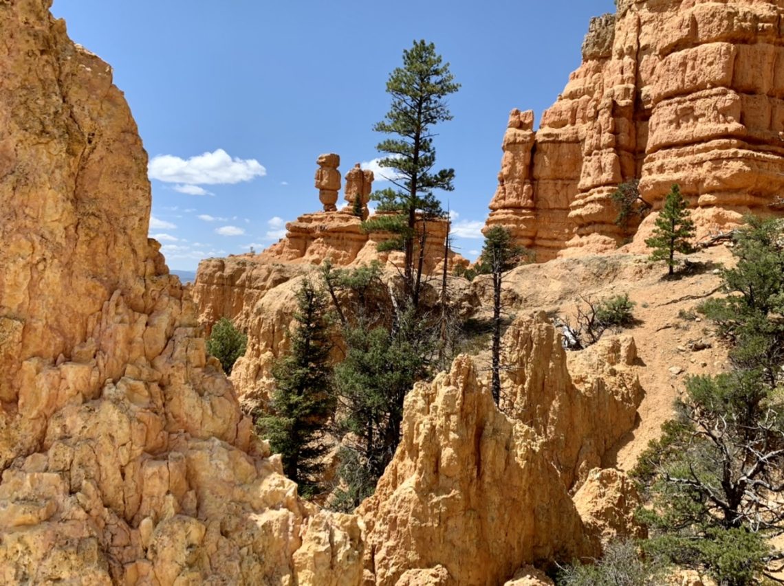 Hiking in Utah's Red Canyon - A Quiet Alternative to Bryce