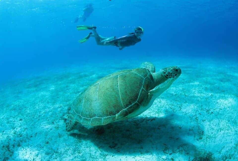 Steve Simonsen Photography - WhatToDo-VI