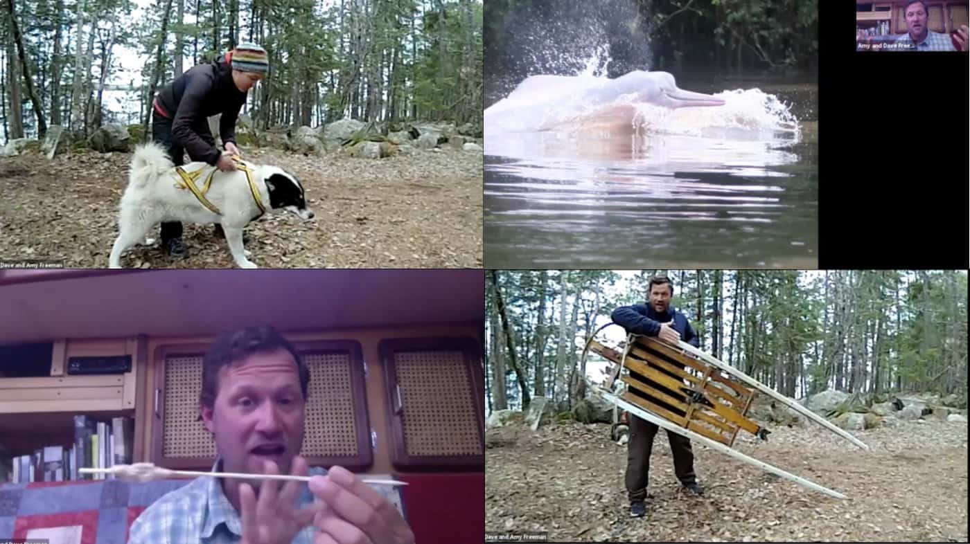 Virtual School Assemblies - Interactive and Engaging K-8 Assemblies