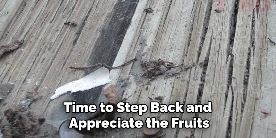 How to Stop Wood Rot on Deck | 9 Easy Steps (2025)