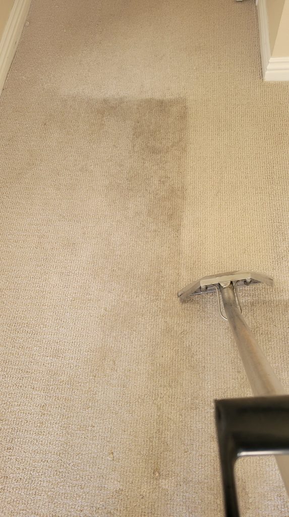 What is the Best Way to Clean Carpets? | JP Carpet Cleaning