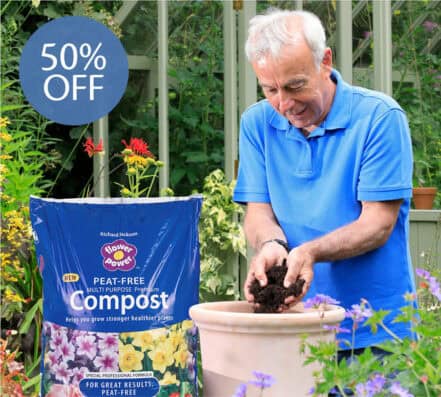 Richard Jackson Garden - Flower Power shop, features & advice