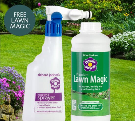 Richard Jackson Garden - Flower Power shop, features & advice