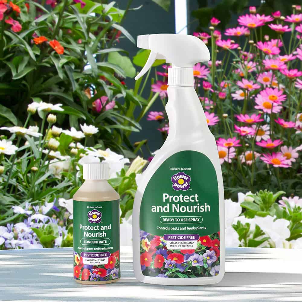 Natural Pest & Weed Control Products by Richard Jackson Garden