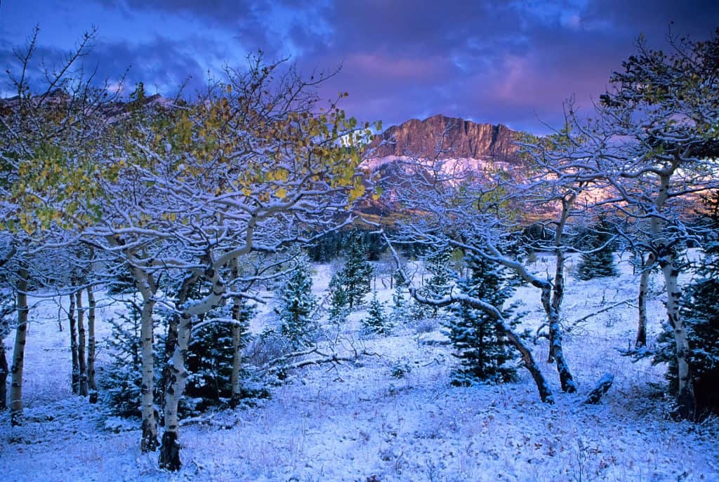 Mark Unrau Gallery - Rocky Mountain Photo Adventures