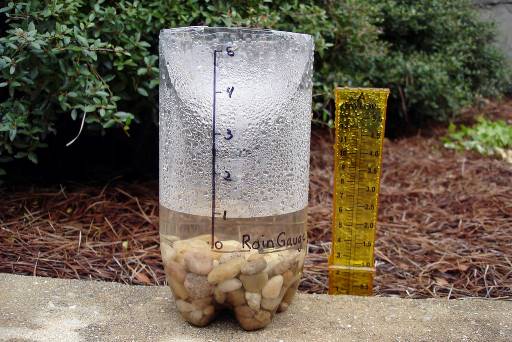 How To Measure Rainfall: The Best Ways To Collect Data