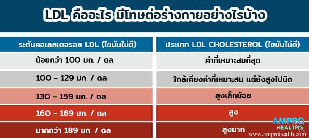 LDL คืออะไร มีโทษต่อร่างกายอย่างไรบ้าง - AM Pro Health
