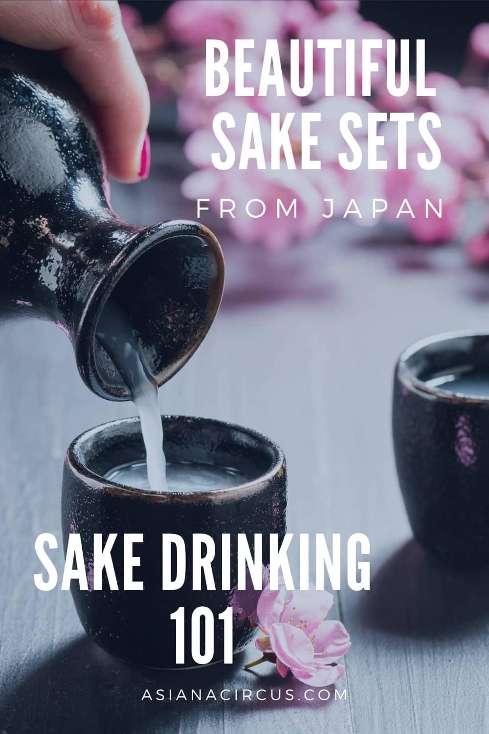 Beautiful Sake Sets From Japan - Sake Drinking 101 | Asiana Circus