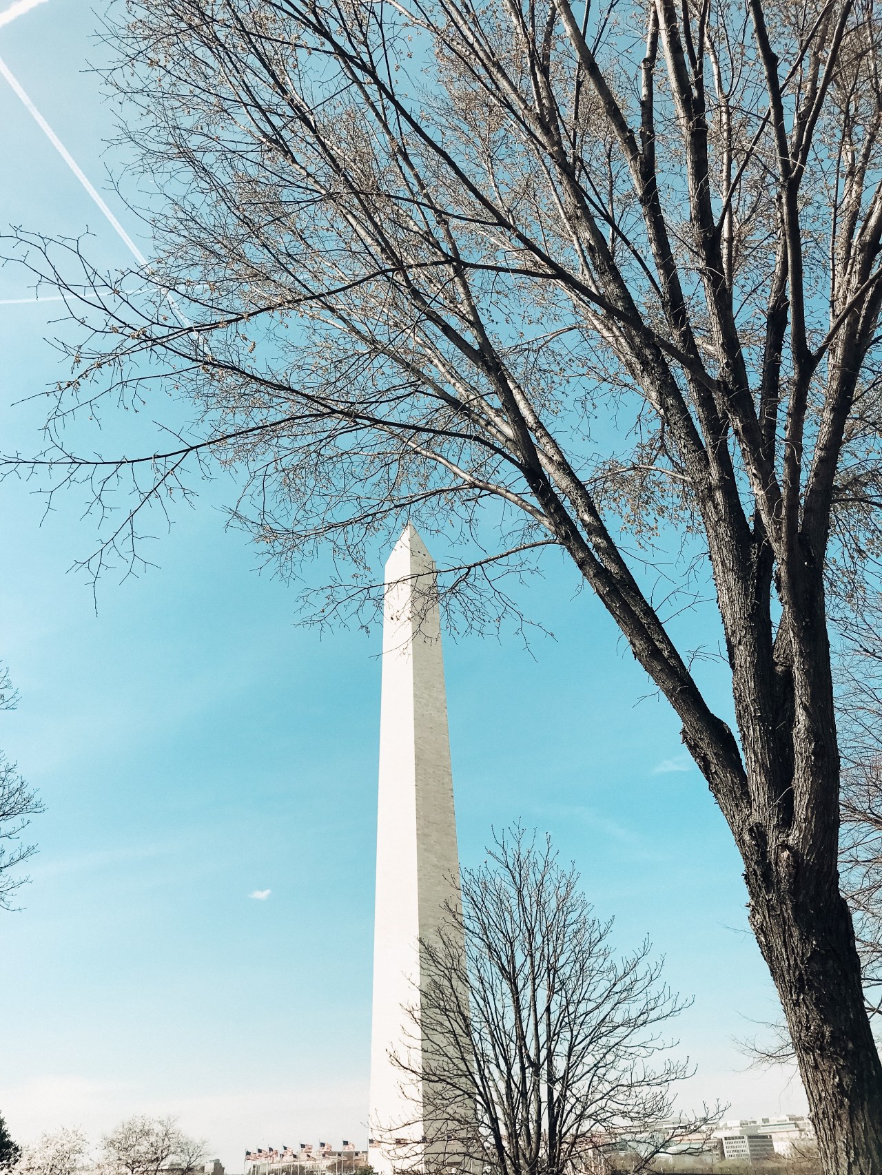10 Places to Visit on a Weekend Trip to Washington DC - TRAVEL IN STYLE ...