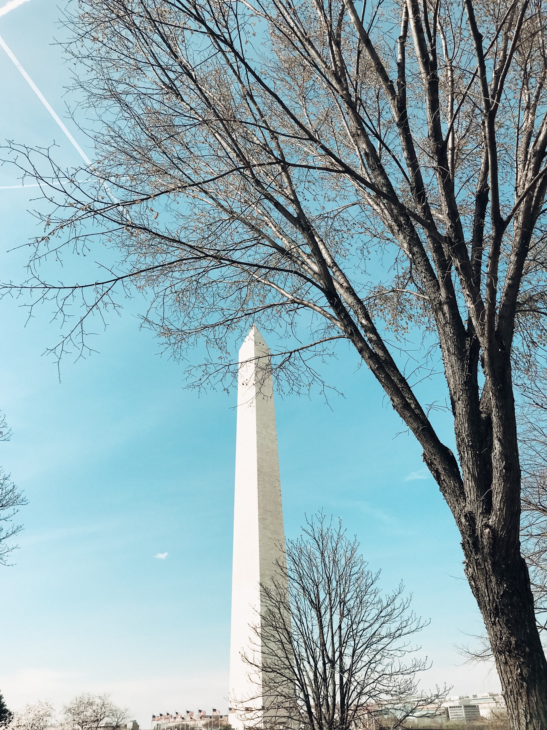 10 Places to Visit on a Weekend Trip to Washington DC - TRAVEL IN STYLE ...