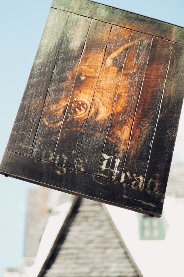 Wizarding World of Harry Potter Tips—The Ultimate Universal Orlando ...