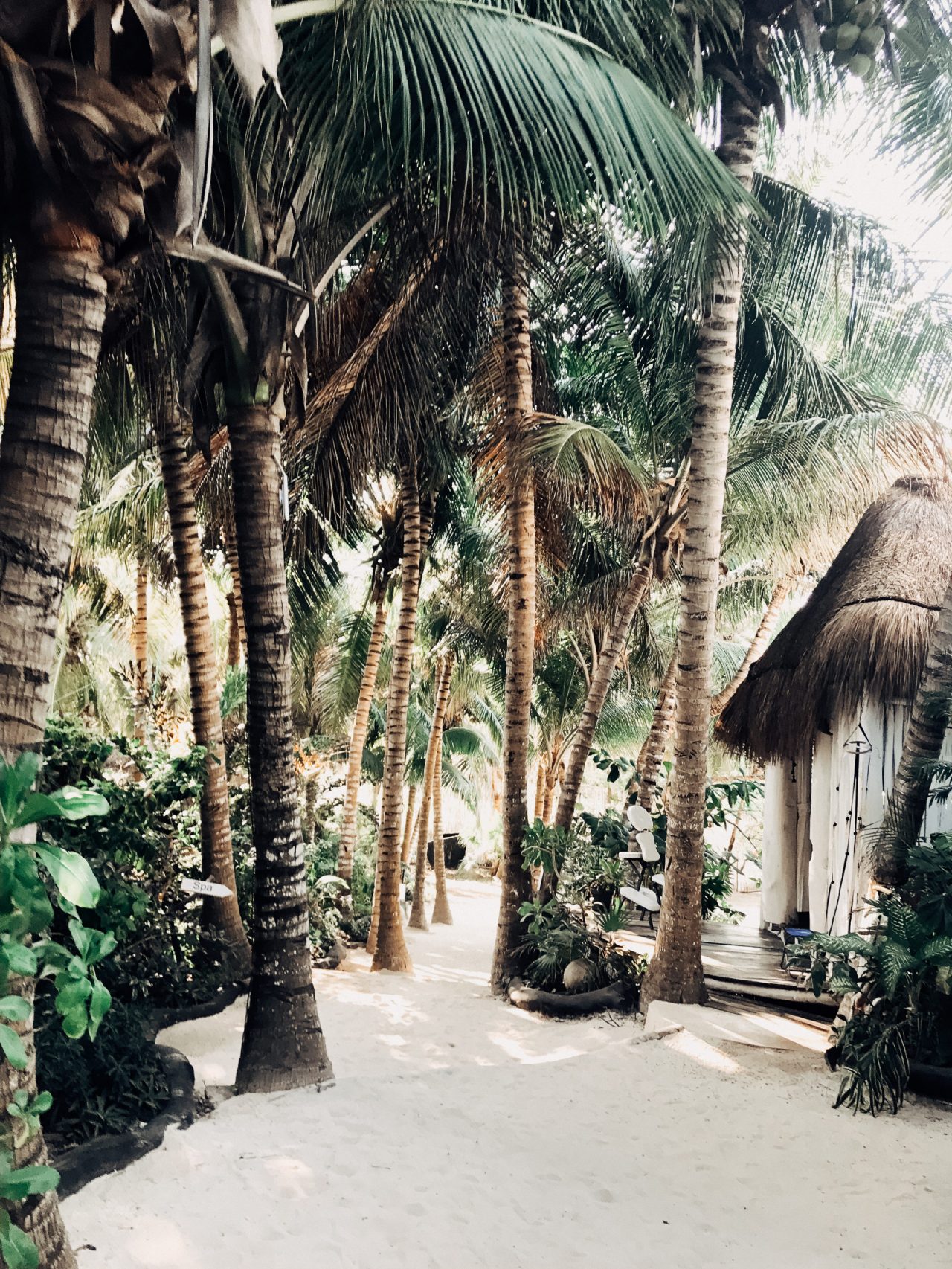 My Top 10 Spring Break Destinations 2020 - TRAVEL IN STYLE | MELODY SCHMIDT