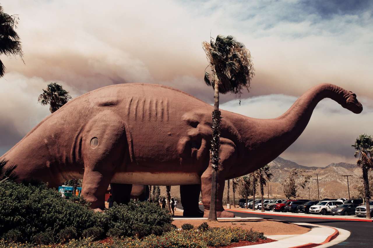 Palm Springs Travel Guide - TRAVEL IN STYLE | MELODY SCHMIDT