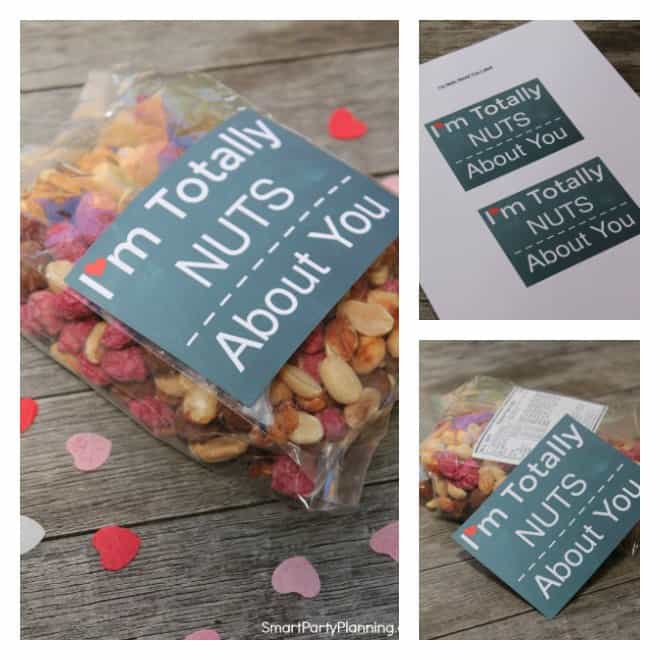 Super Fun "Nuts About You" Free Valentine Printable