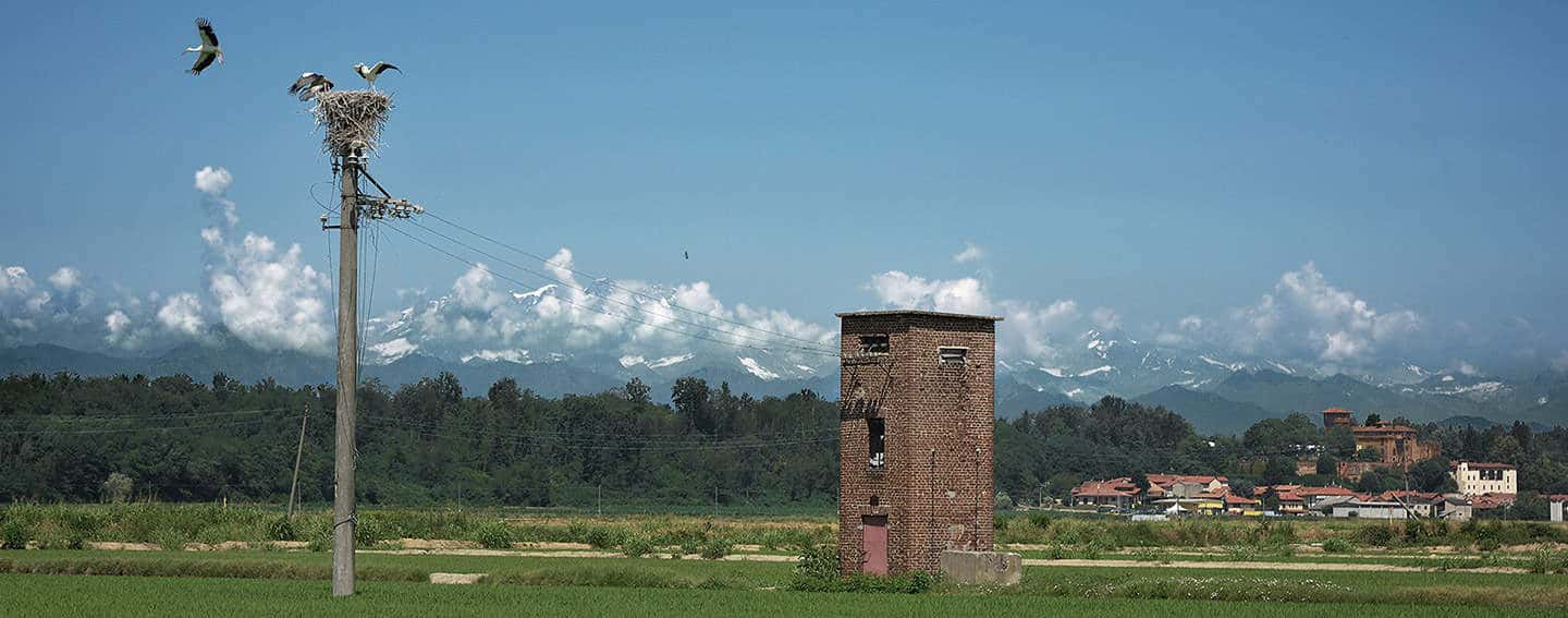 Gorgonzola DOP dolce e piccante, Mascarpone, PON - Eredi Angelo Baruffaldi