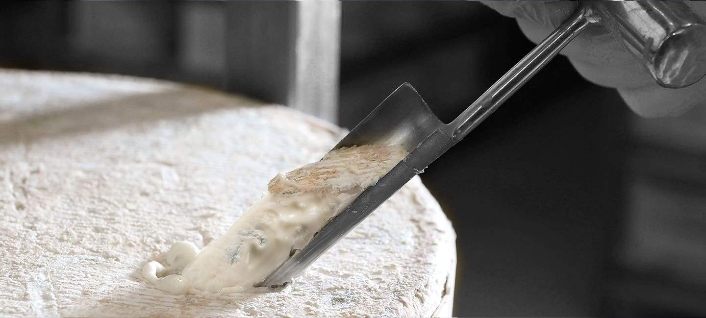 Gorgonzola DOP dolce e piccante, Mascarpone, PON - Eredi Angelo Baruffaldi