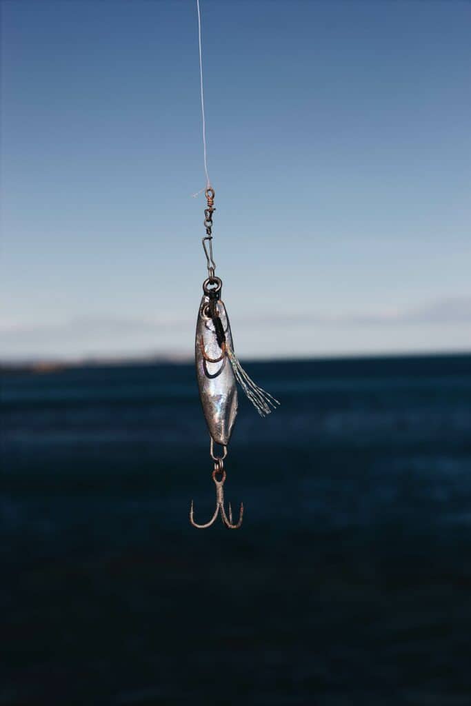 Line Fishing, Spearfishing, and Freediving From Your Yacht