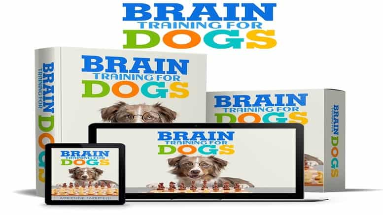 Brain Training For Dogs Review - Adrienne Farricelli Dog Trainer