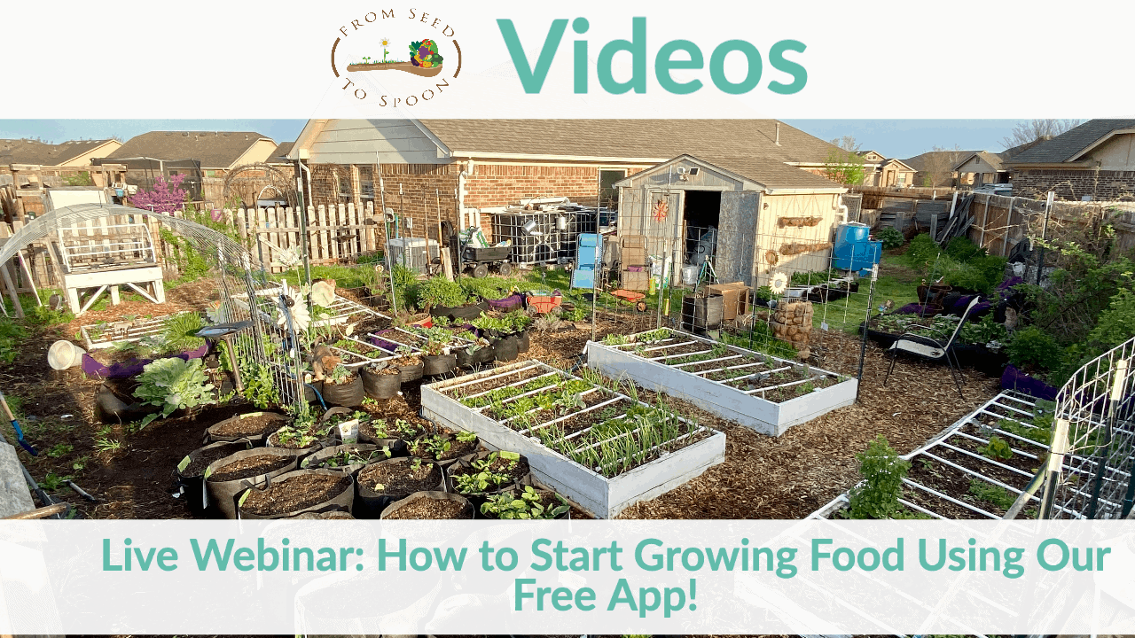 Live Stream: How to Start Growing Food Using Our Free App! - From Seed ...