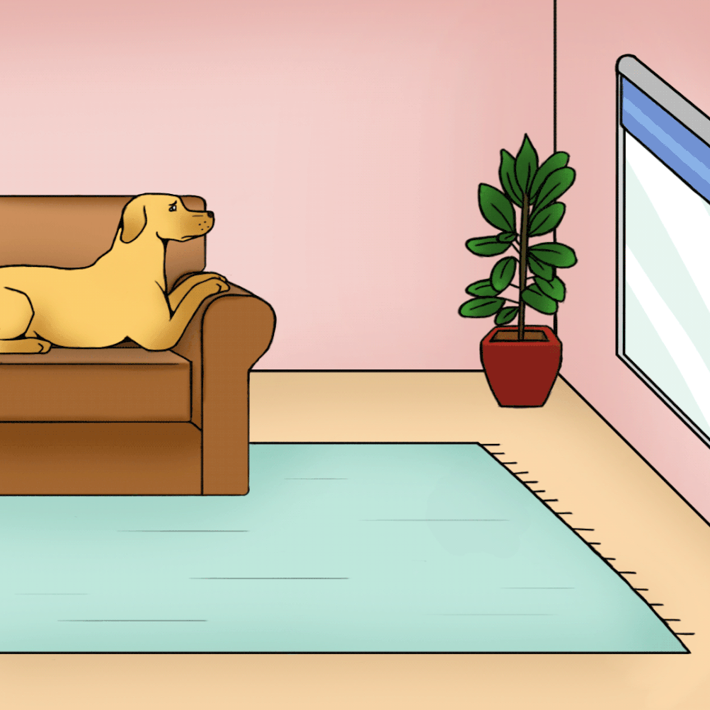 Corgi Wandelende Gif