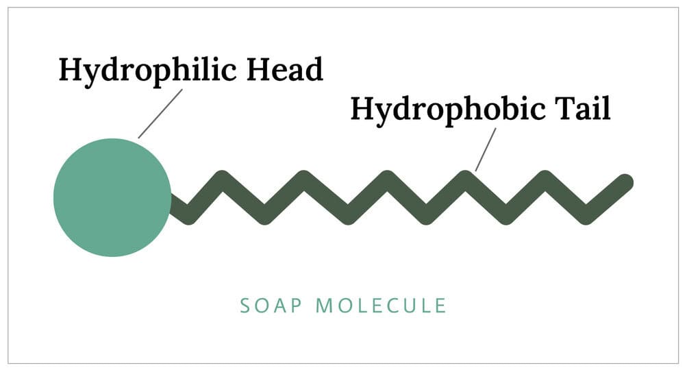 Soap Molecule Hydrophilic Hydrophobic