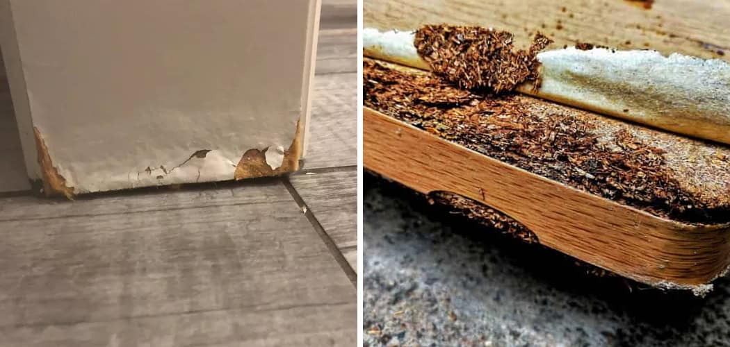 How to Fix Crumbling Particle Board | 5 Easy Steps (2026)