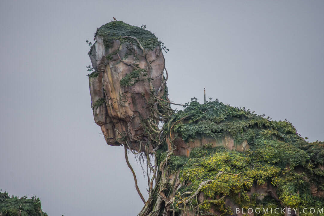 Floating Rock Pandora