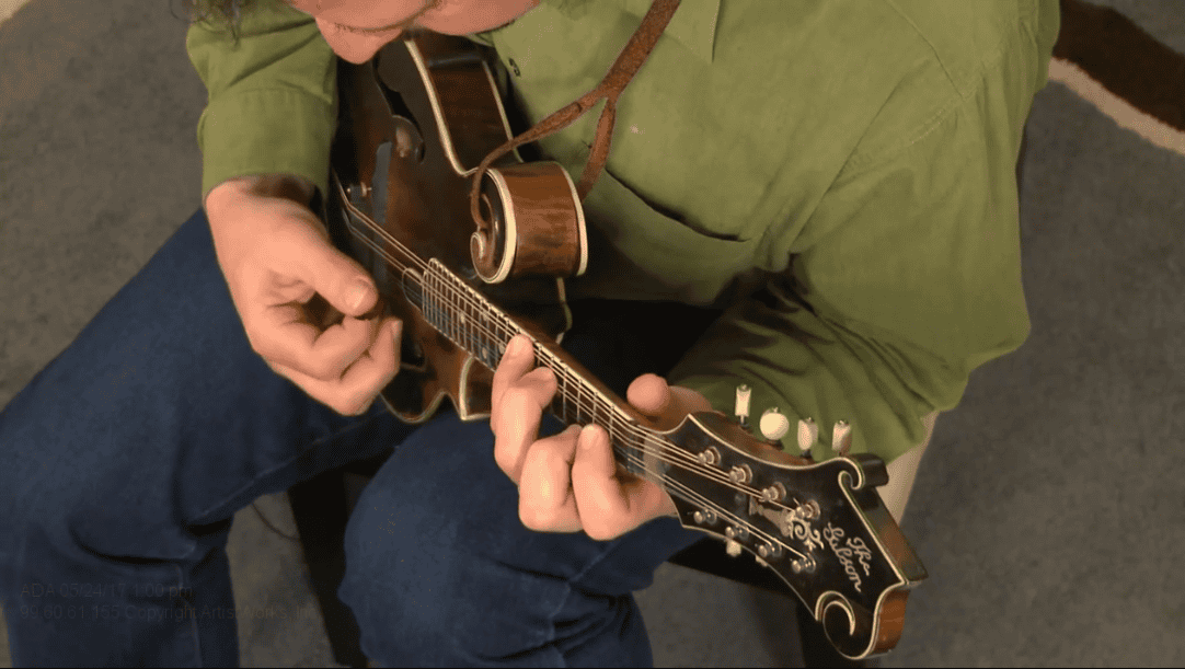 mandolin playing techniques