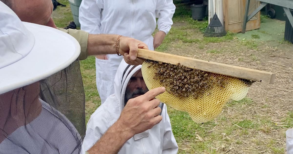 beekeeping course