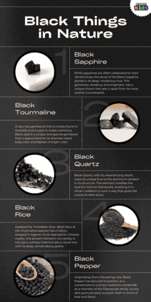 infographics - BurbanKids.Com