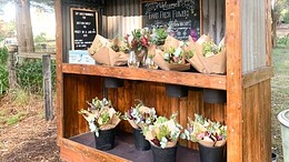 Jagged Farm Roadside Stall - Roadside Stalls