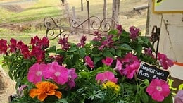 Strath Haven - Roadside Stalls