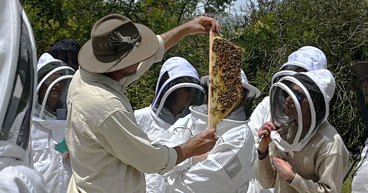 beekeeping course