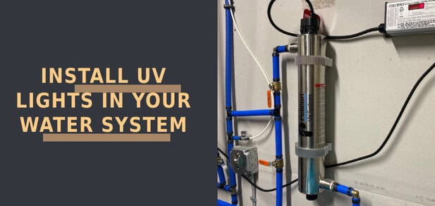 How to Use Uv Light to Kill Mold | 10 Easy Steps (2026)