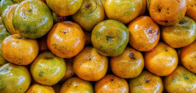 How to Tell an Orange Is Bad in 6 Easy Steps (2023)