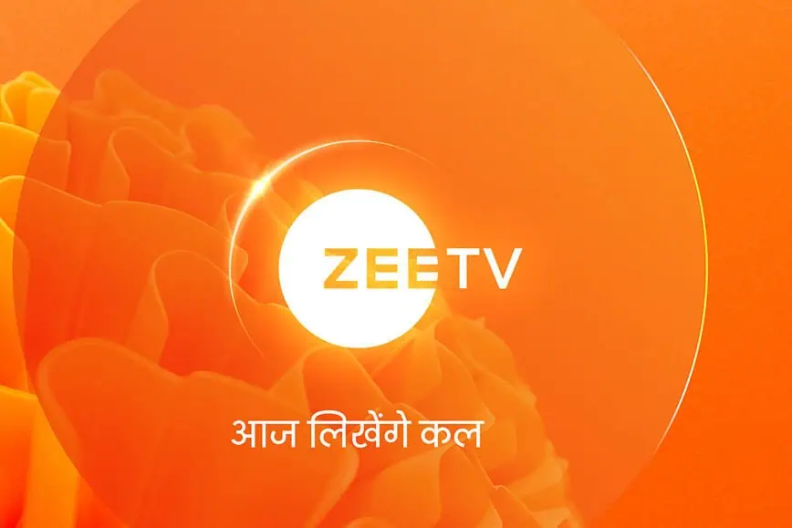 Zee News Ltd Logo Zee News News Broadcasting Zee Entertainment