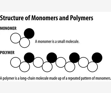 polymers structure