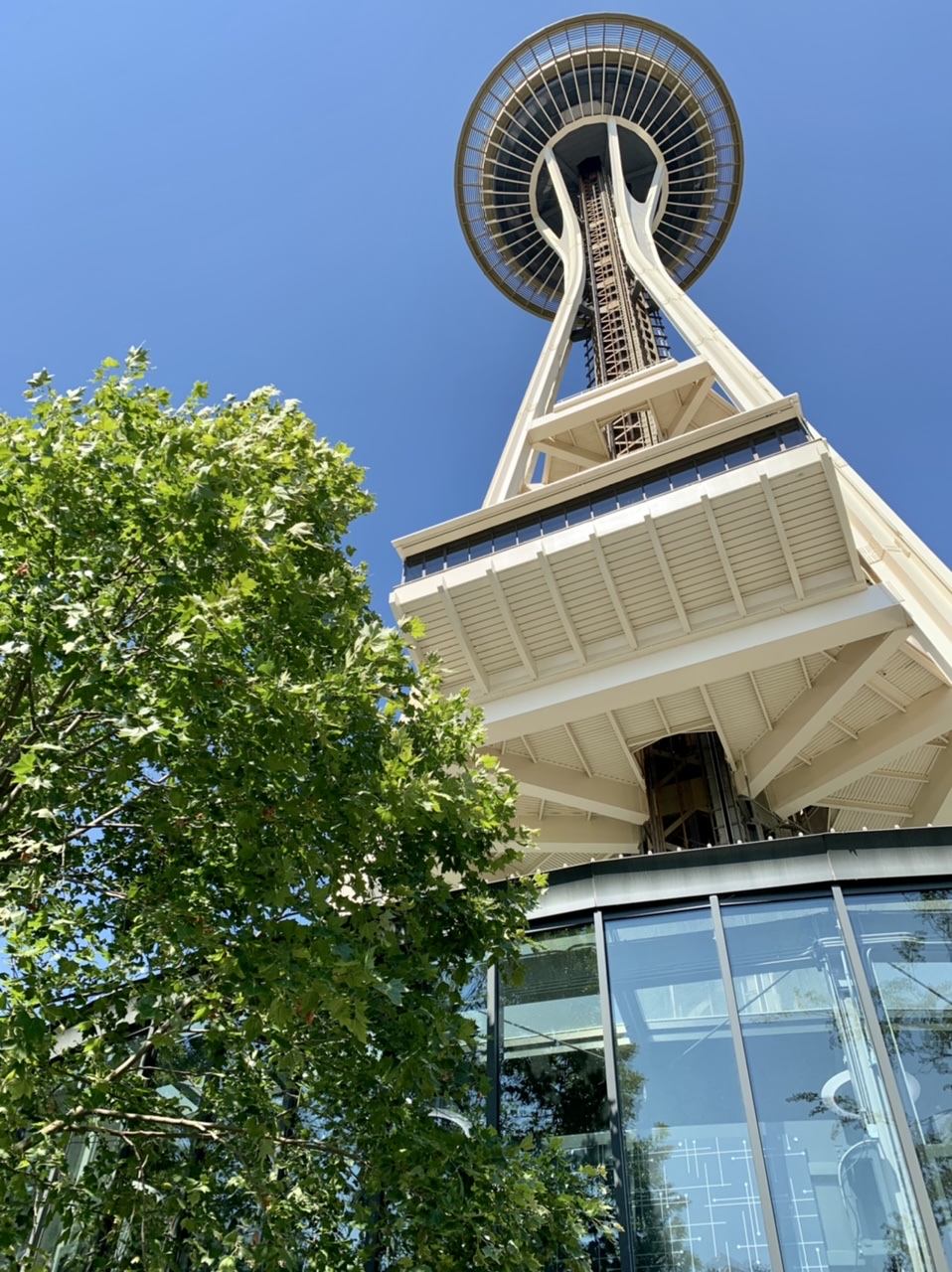 space needle rules