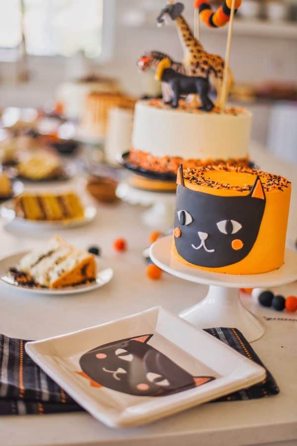 cat sheet cake
