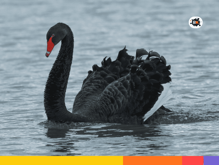 black natural objects