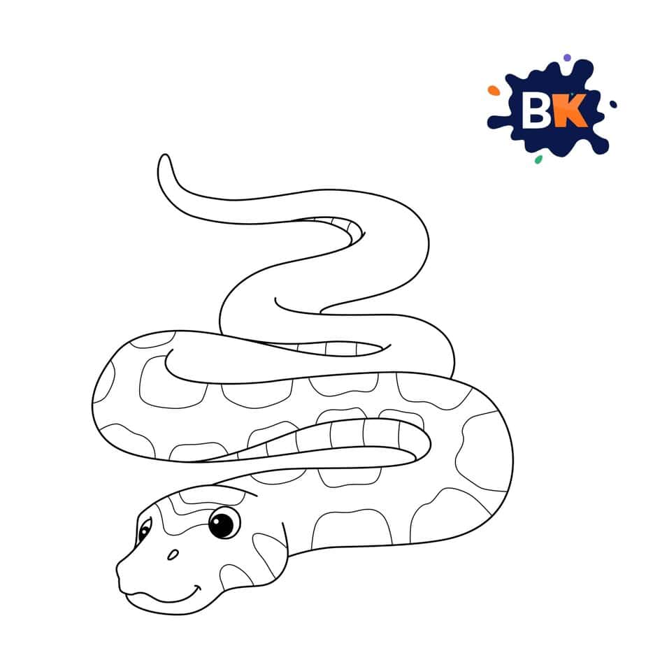 boa constrictor coloring pages