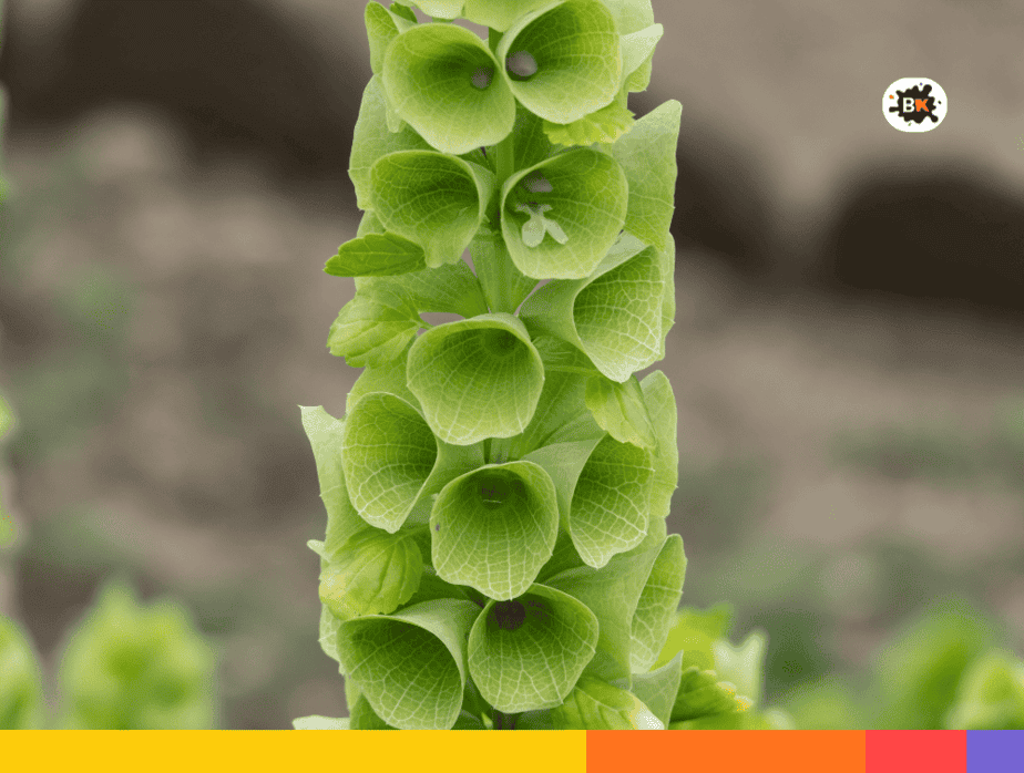 green objects in nature