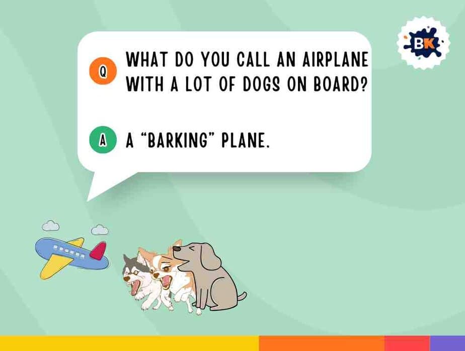 riddles about planes