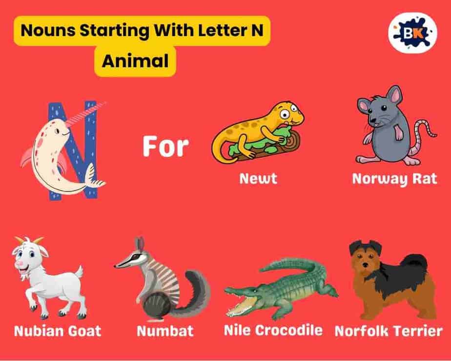 n letter noun