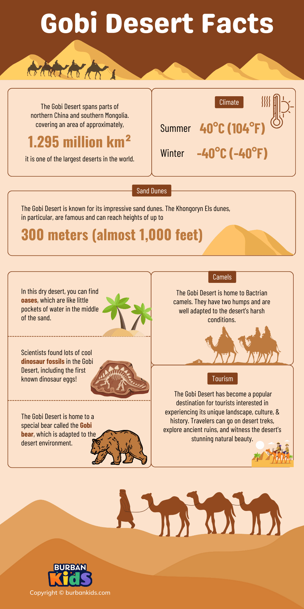 desert factfile
