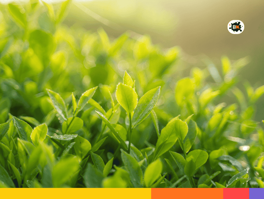 green objects in nature