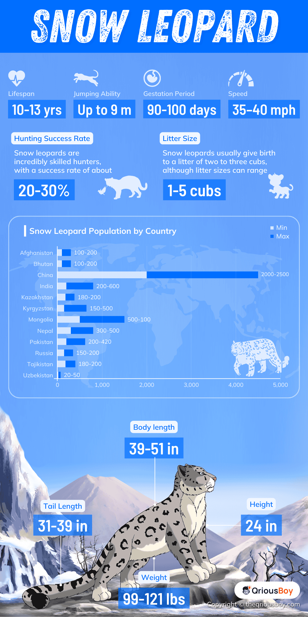 Snow Leopard Poaching Facts