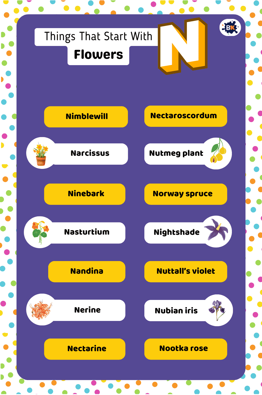 cool objects that start with n